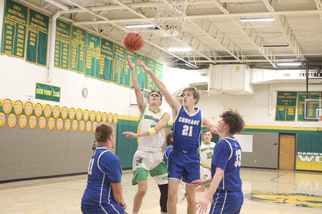 Wolves defeat Cougars in nail-biter | News, Sports, Jobs - Daily Press